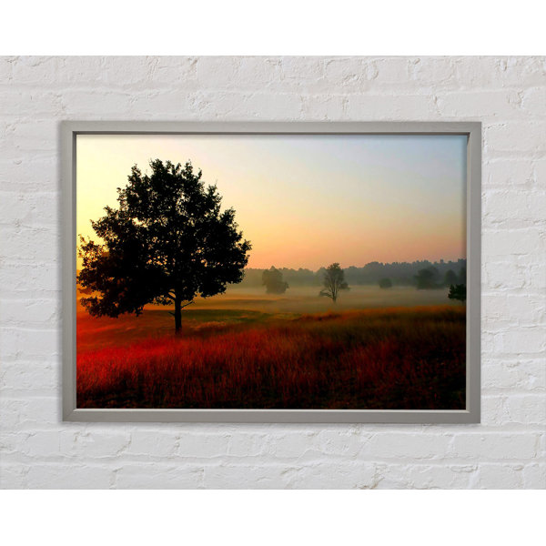 17 Stories Herbstsonnenaufgang Baum im Nebel - Einzelbildrahmen Kunstdrucke auf Leinwand ...